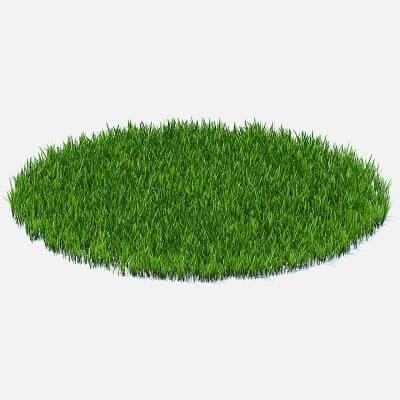Short Grass - 3D Model by cgaxis