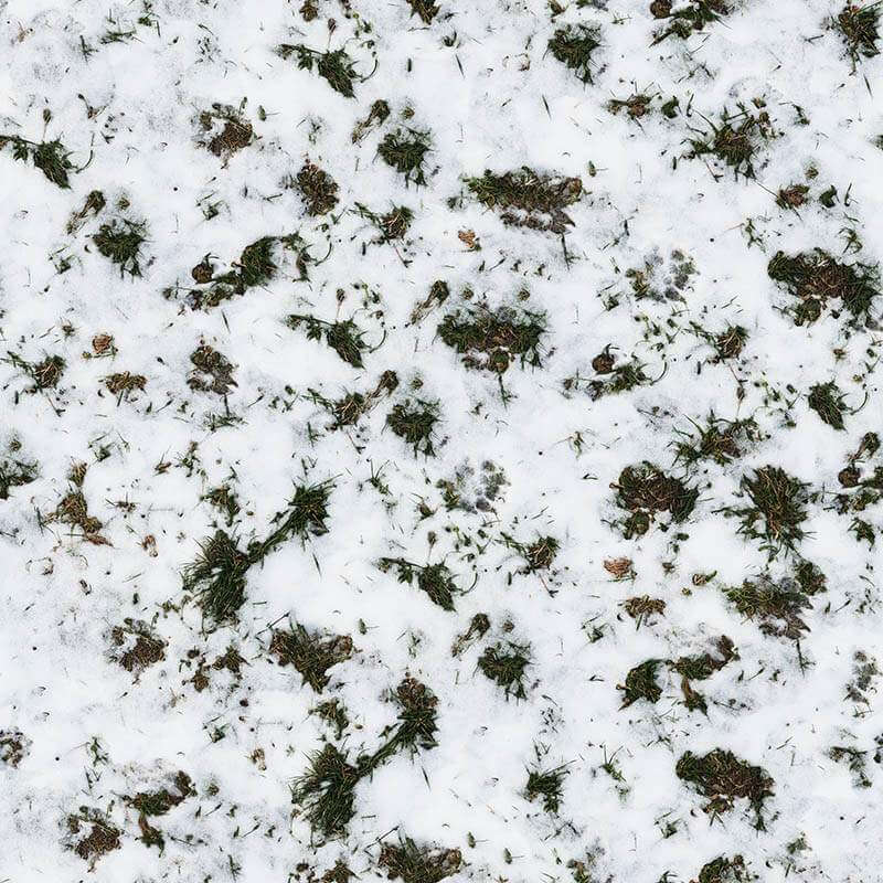Snow Covering Grass PBR Texture by cgaxis