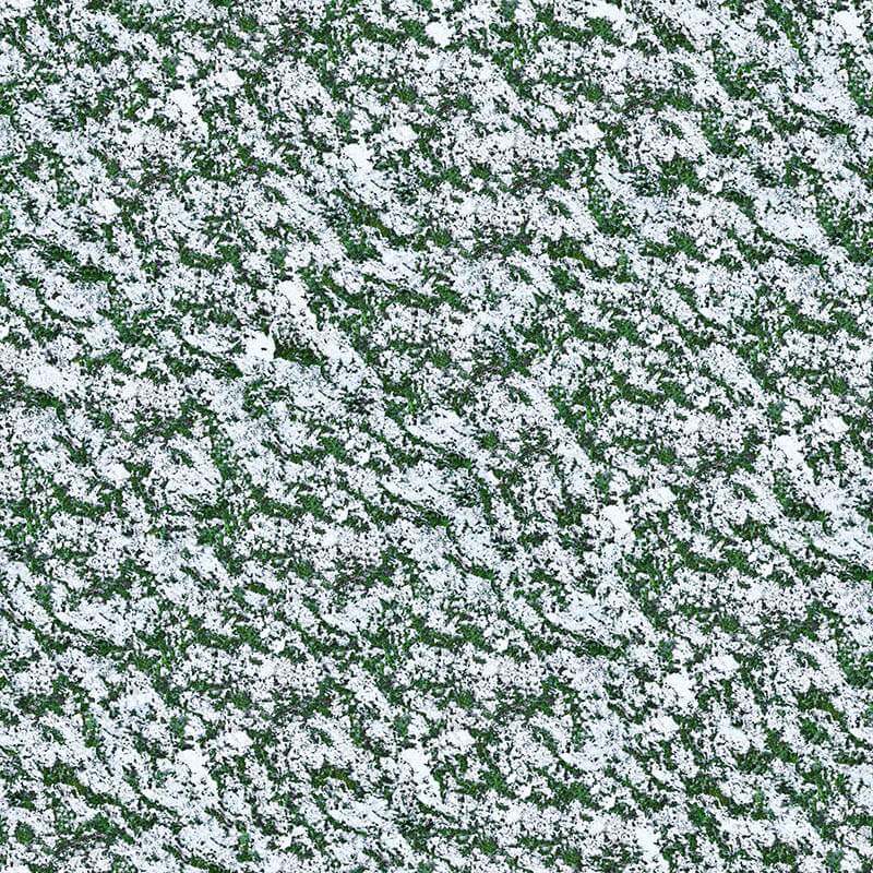 Snow Covering Grass PBR Texture by cgaxis