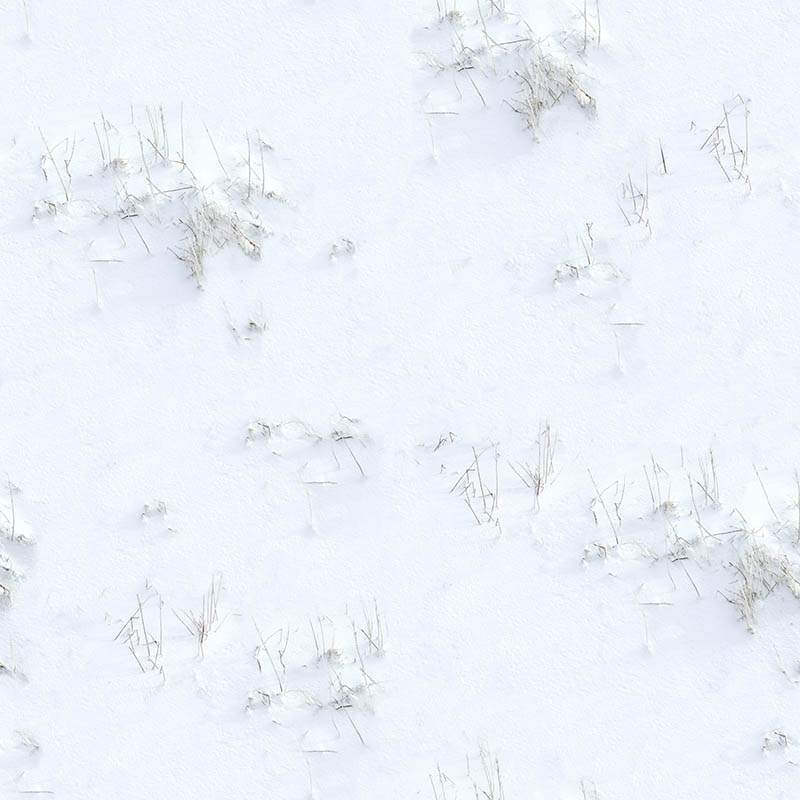 Snow with Tall Grass PBR Texture by cgaxis