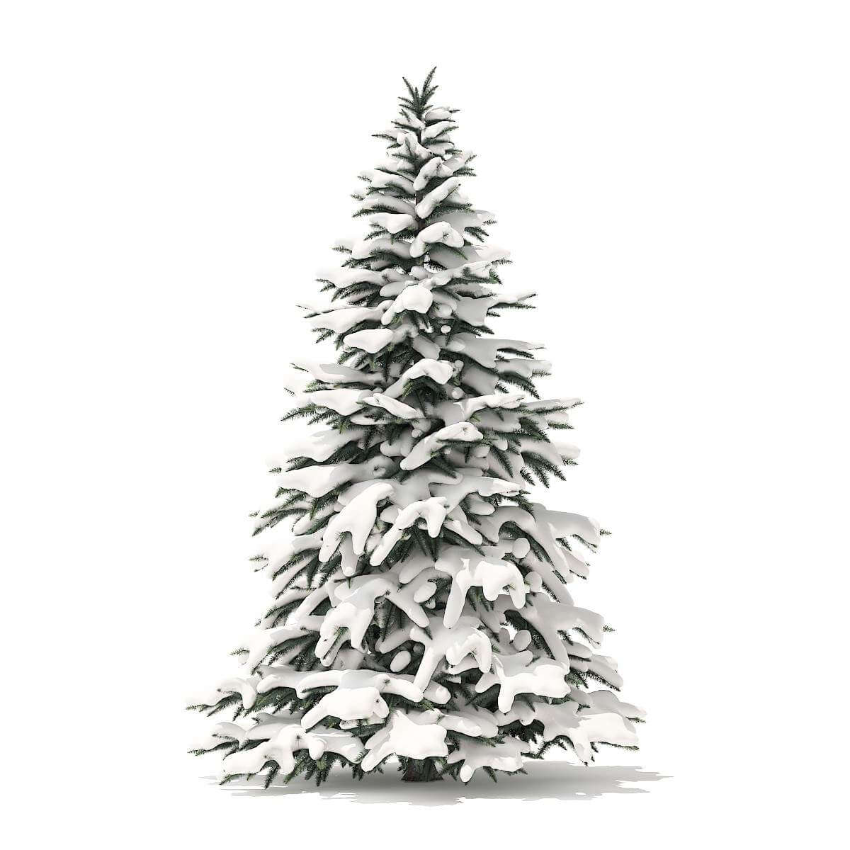 Spruce Tree with Snow 4.4m - 3D Model by cgaxis