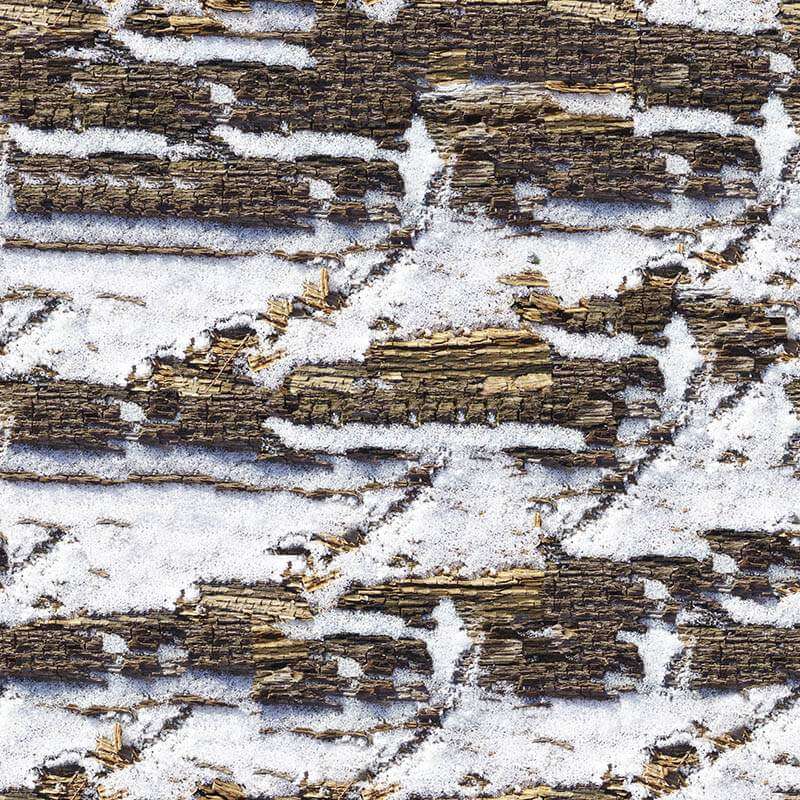 Tree Bark with Snow PBR Texture by cgaxis