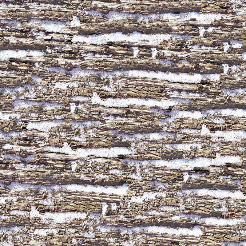 Tree Bark with Snow PBR Texture by cgaxis