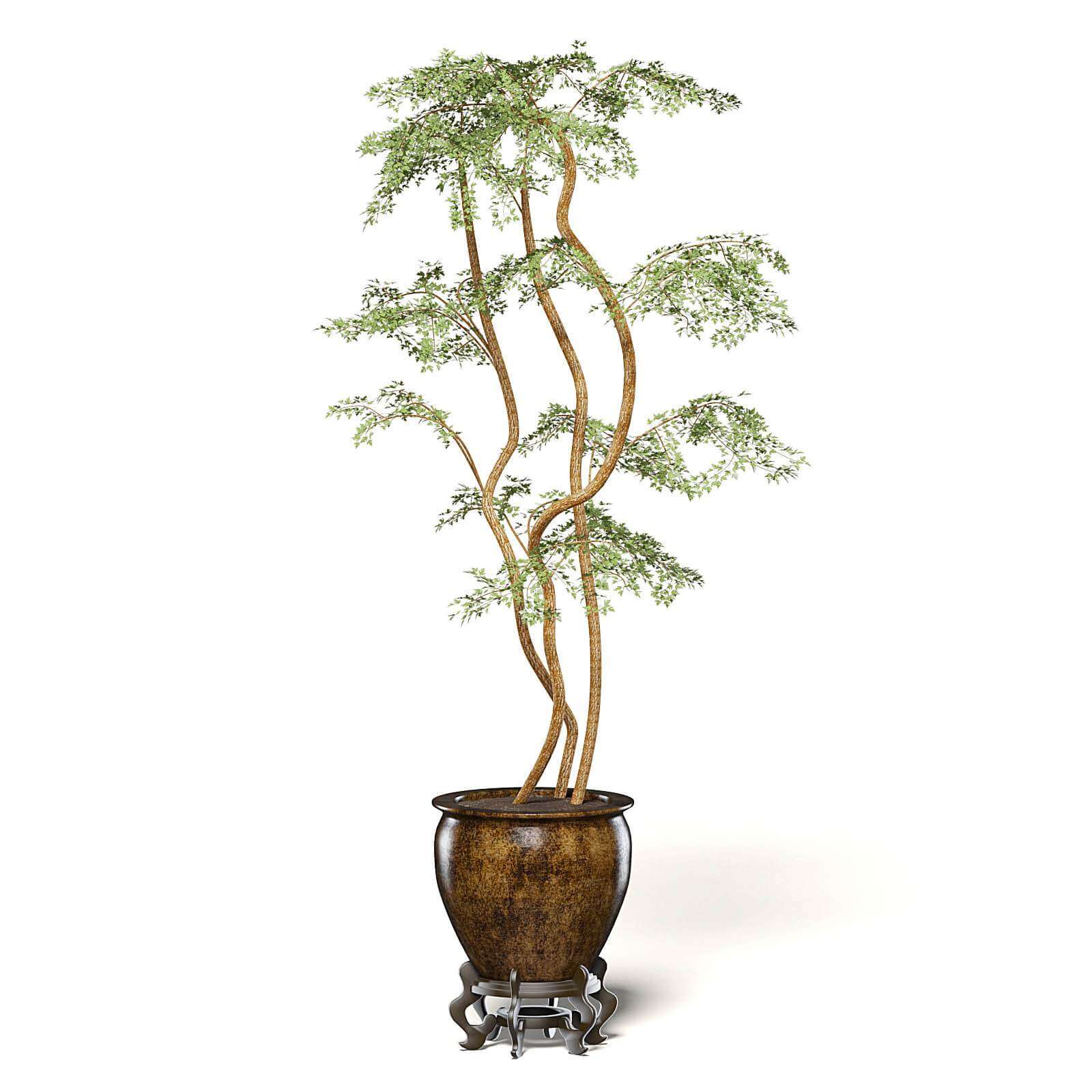 Tree in Metal Pot - 3D Model by cgaxis