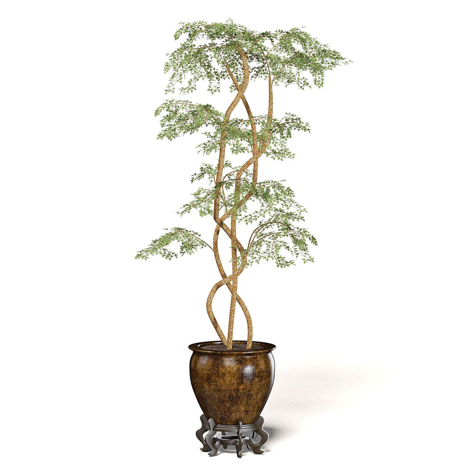 Tree in Metal Pot - 3D Model by cgaxis