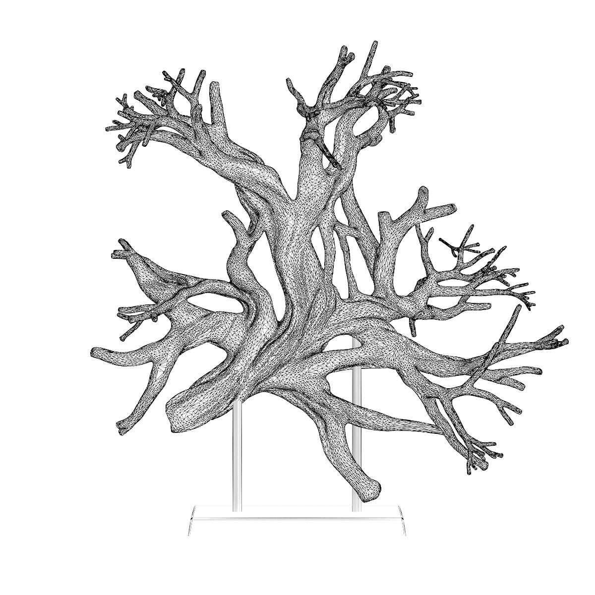 Tree Root Decoration - 3D Model by cgaxis