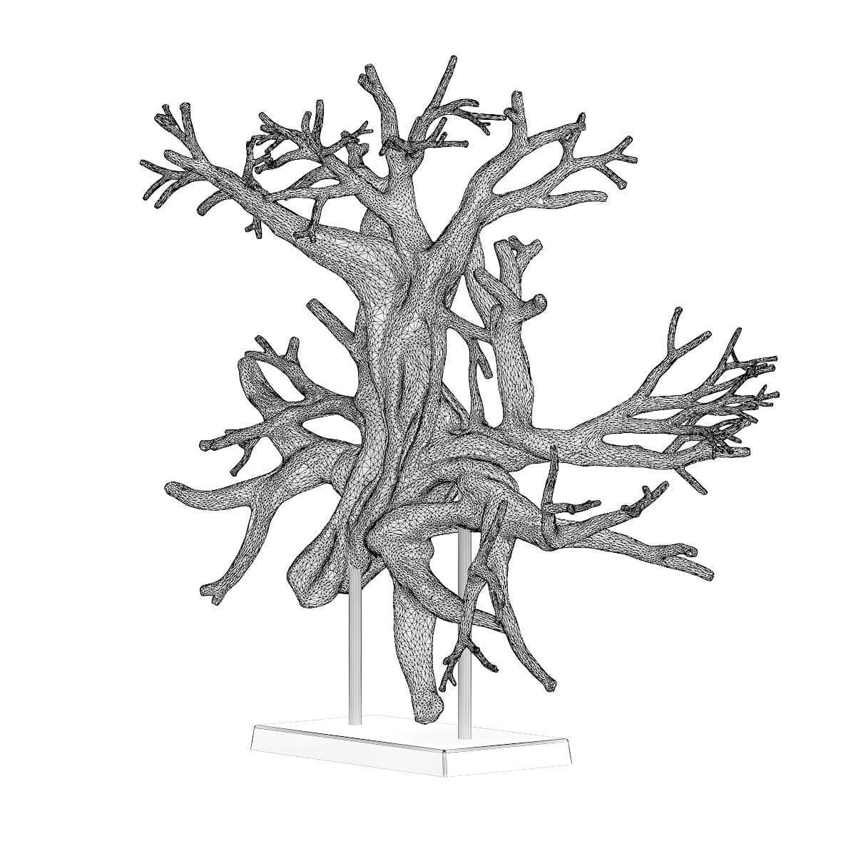 Tree Root Decoration - 3D Model by cgaxis
