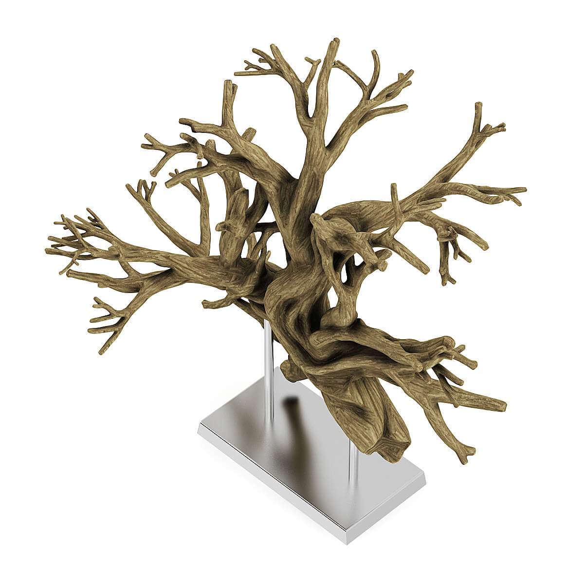 Tree Root Decoration - 3D Model by cgaxis