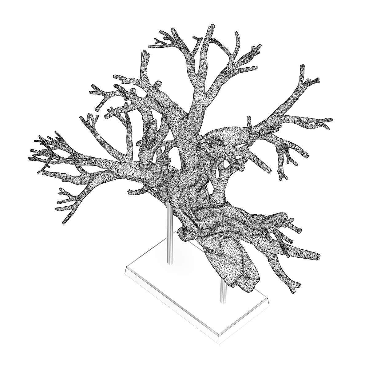 Tree Root Decoration - 3D Model by cgaxis