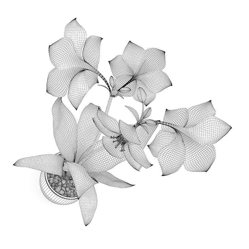 White Flower in Pot - 3D Model by cgaxis