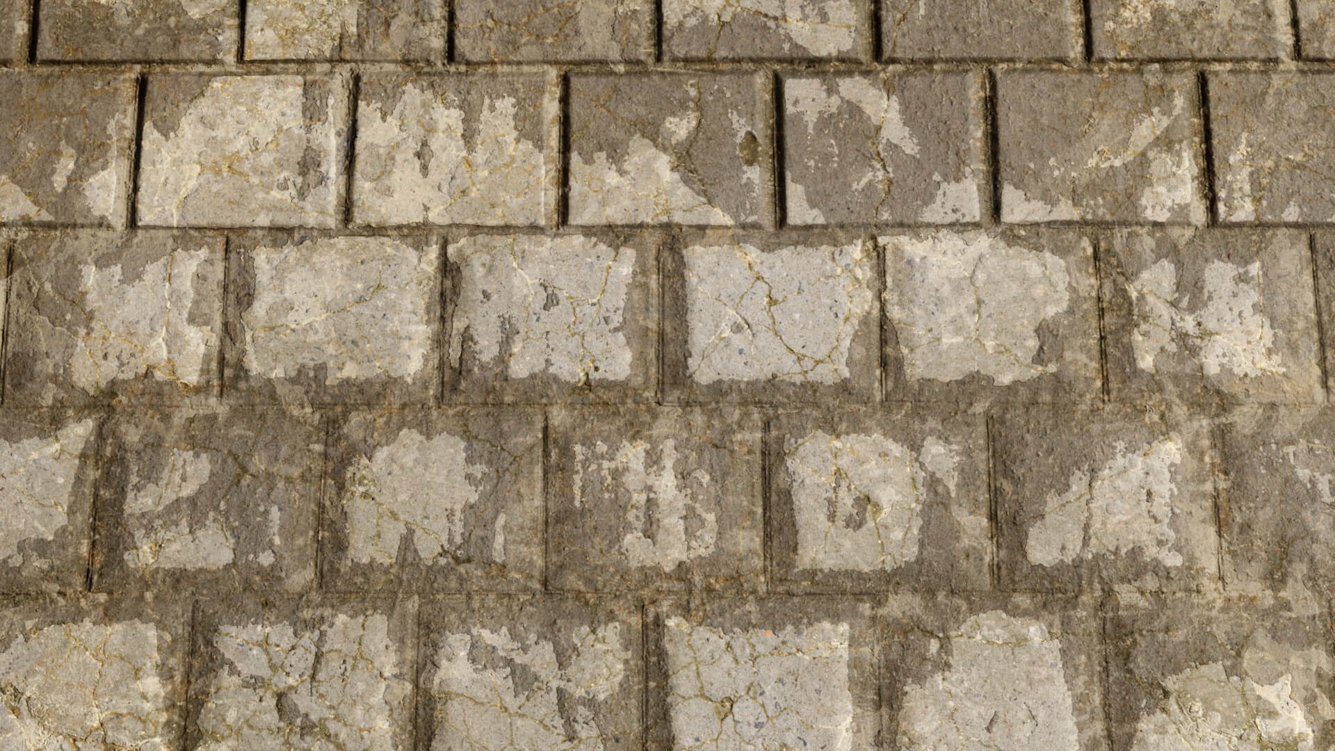 Concrete Brick Wall PBR Texture by CGHawk