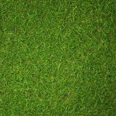 Grass PBR Texture - 3D Material or Shader by CGHawk