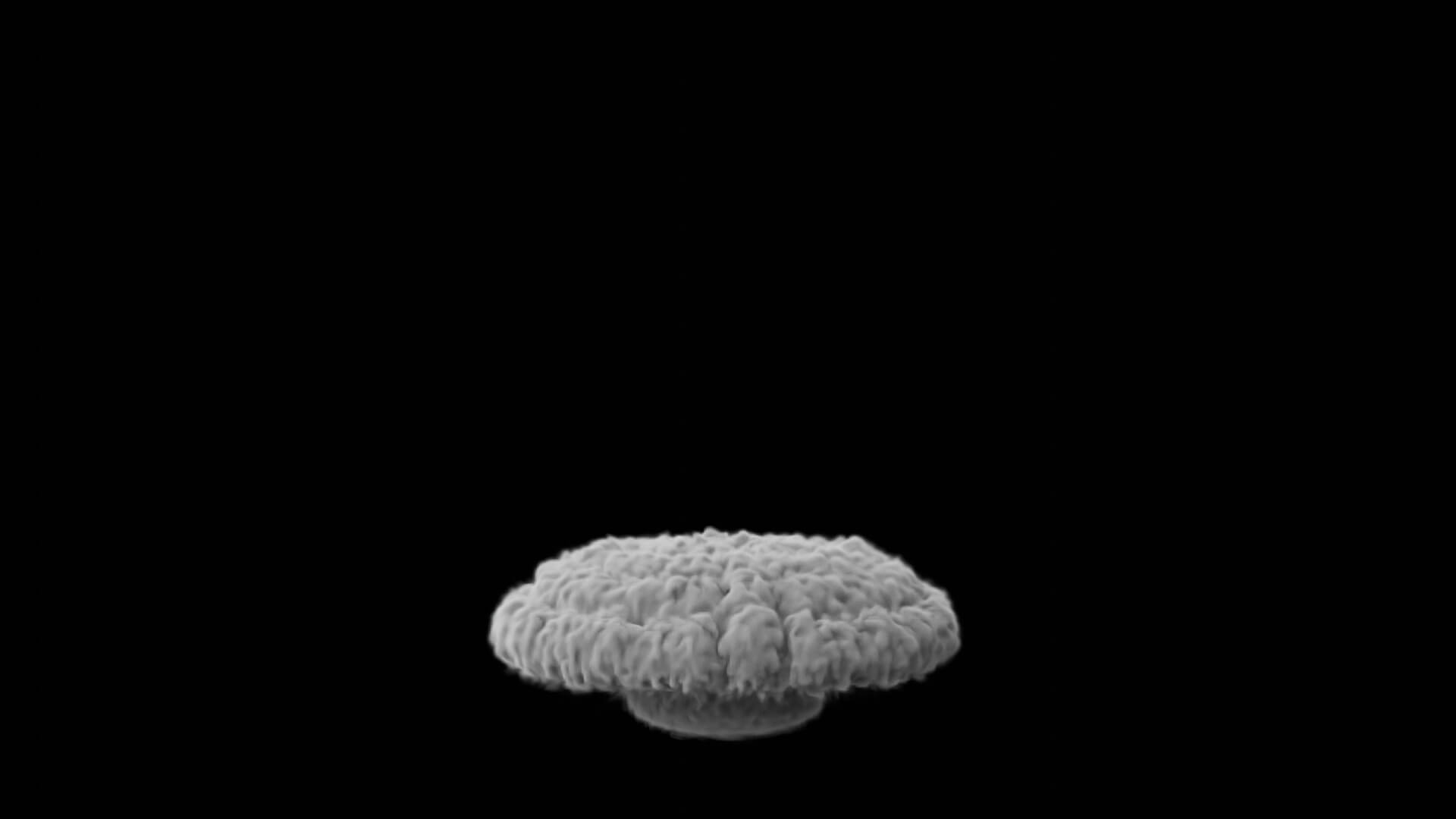 Blender Mushroom Cloud Simulation - 3D Model by CGHawk