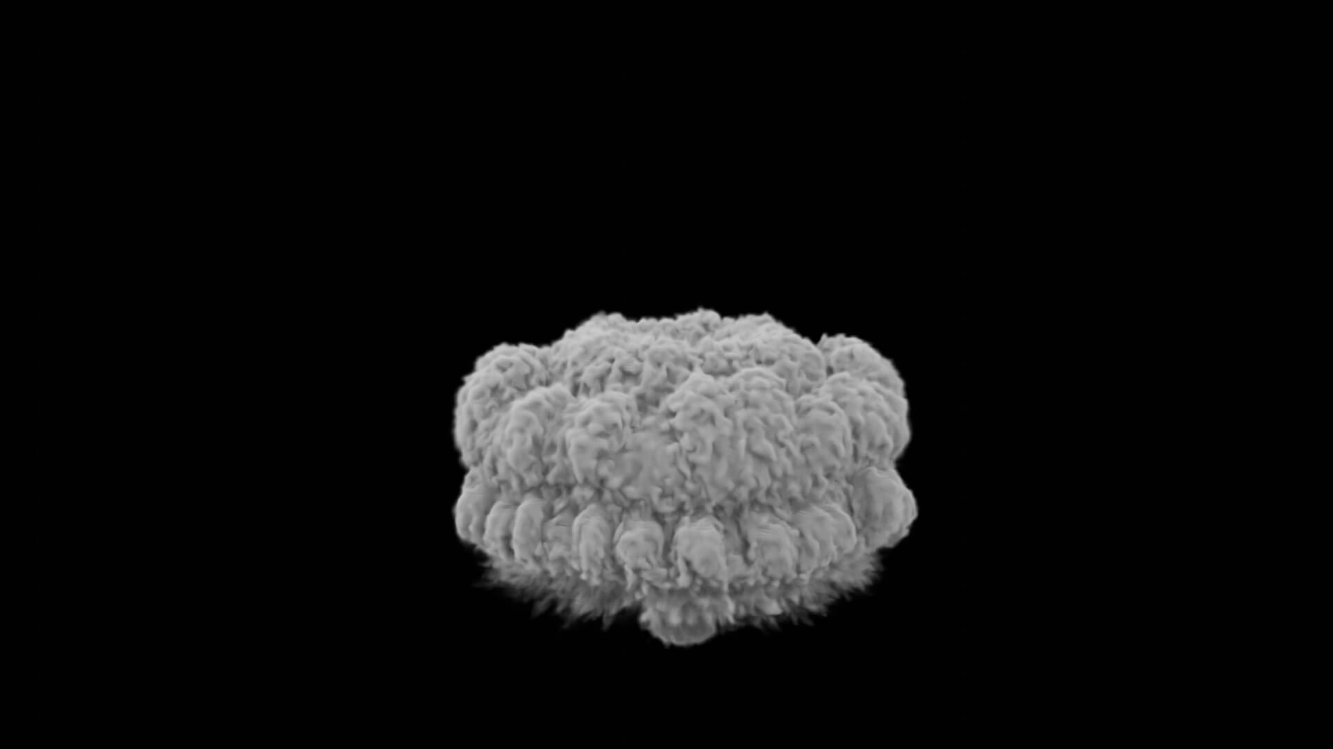 Blender Mushroom Cloud Simulation - 3D Model by CGHawk