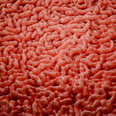 Raw Minced Meat PBR Texture - 3D Material or Shader by CGHawk