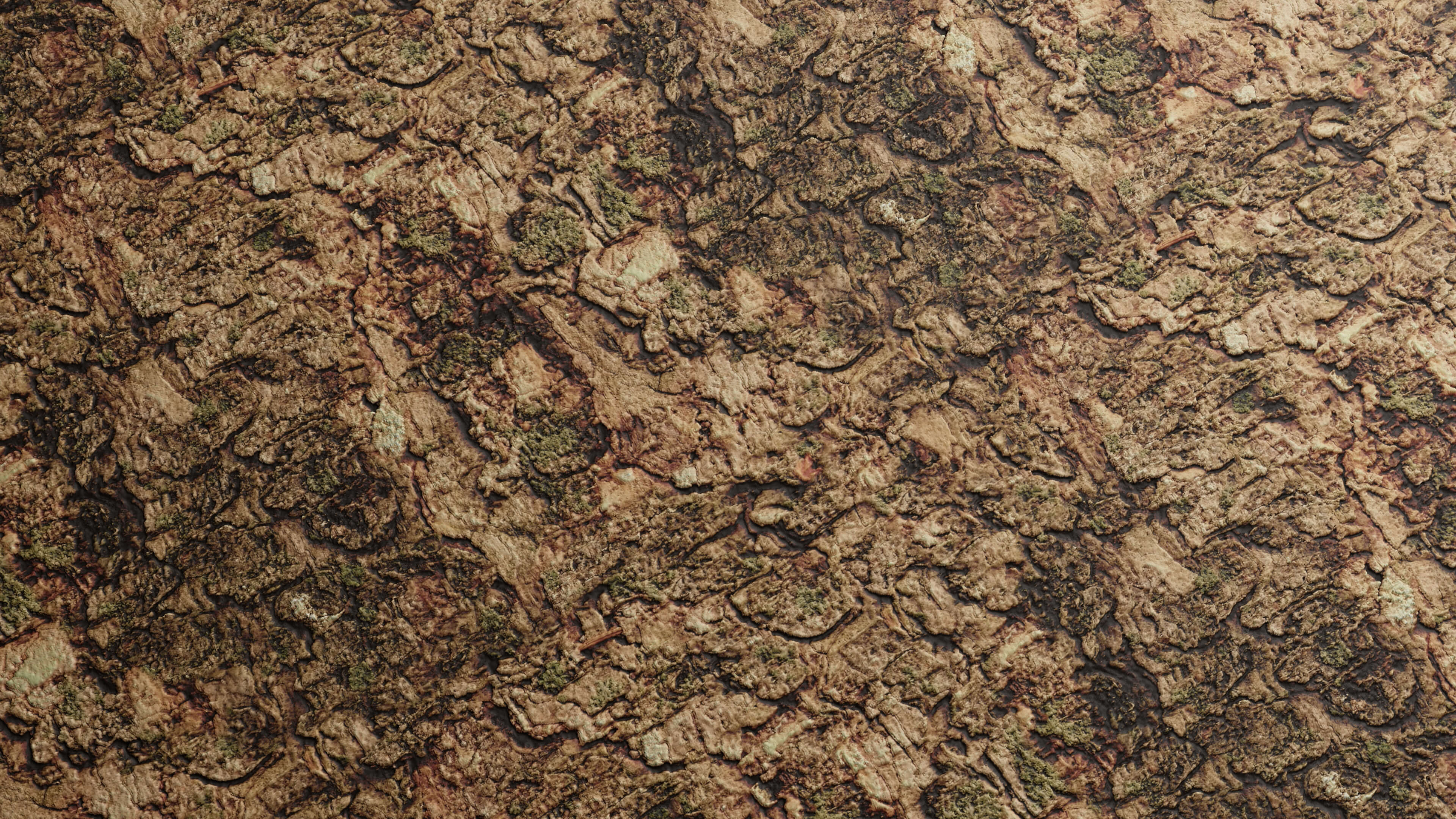 Tree Bark PBR Texture by CGHawk