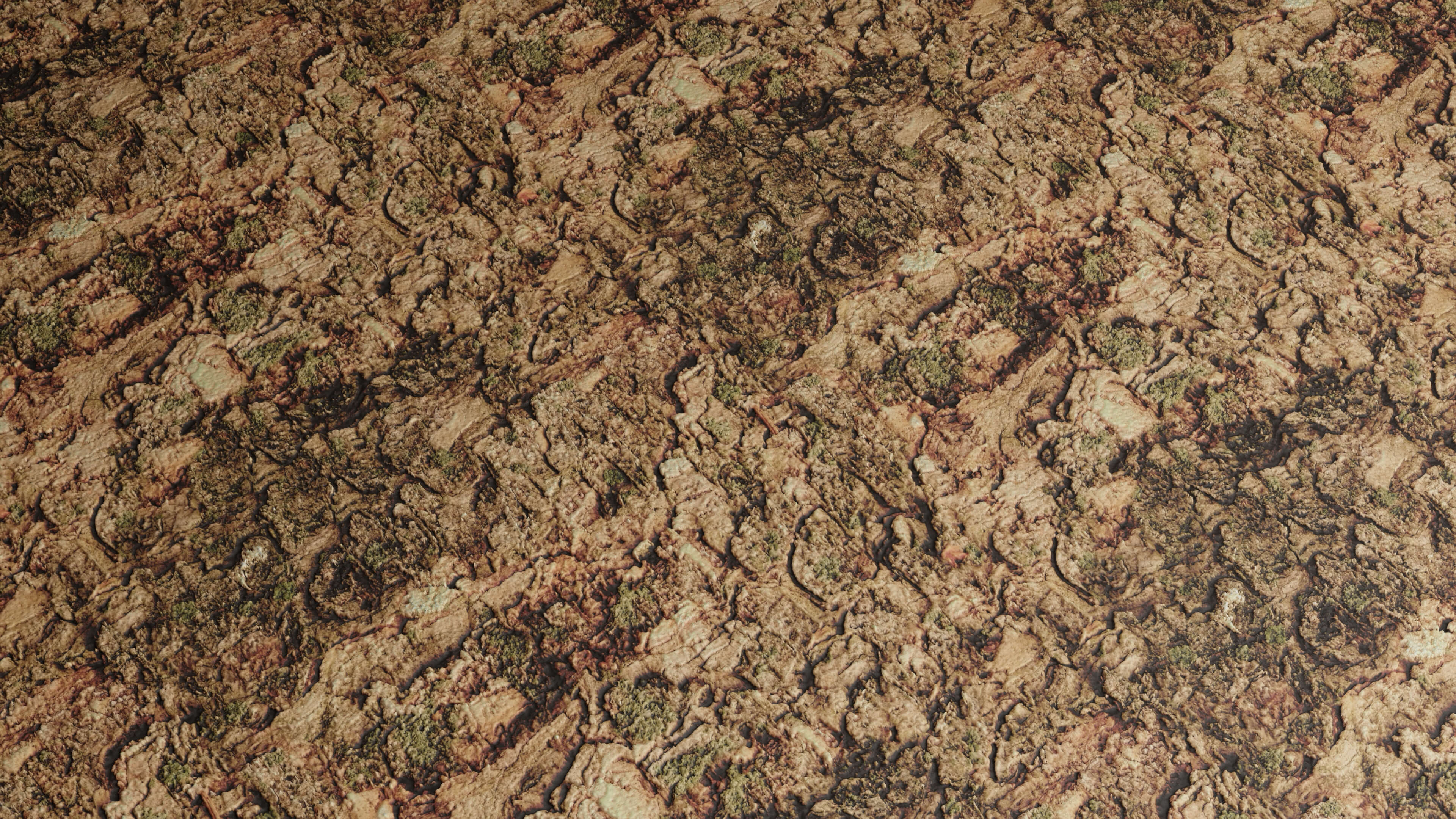 Tree Bark PBR Texture by CGHawk