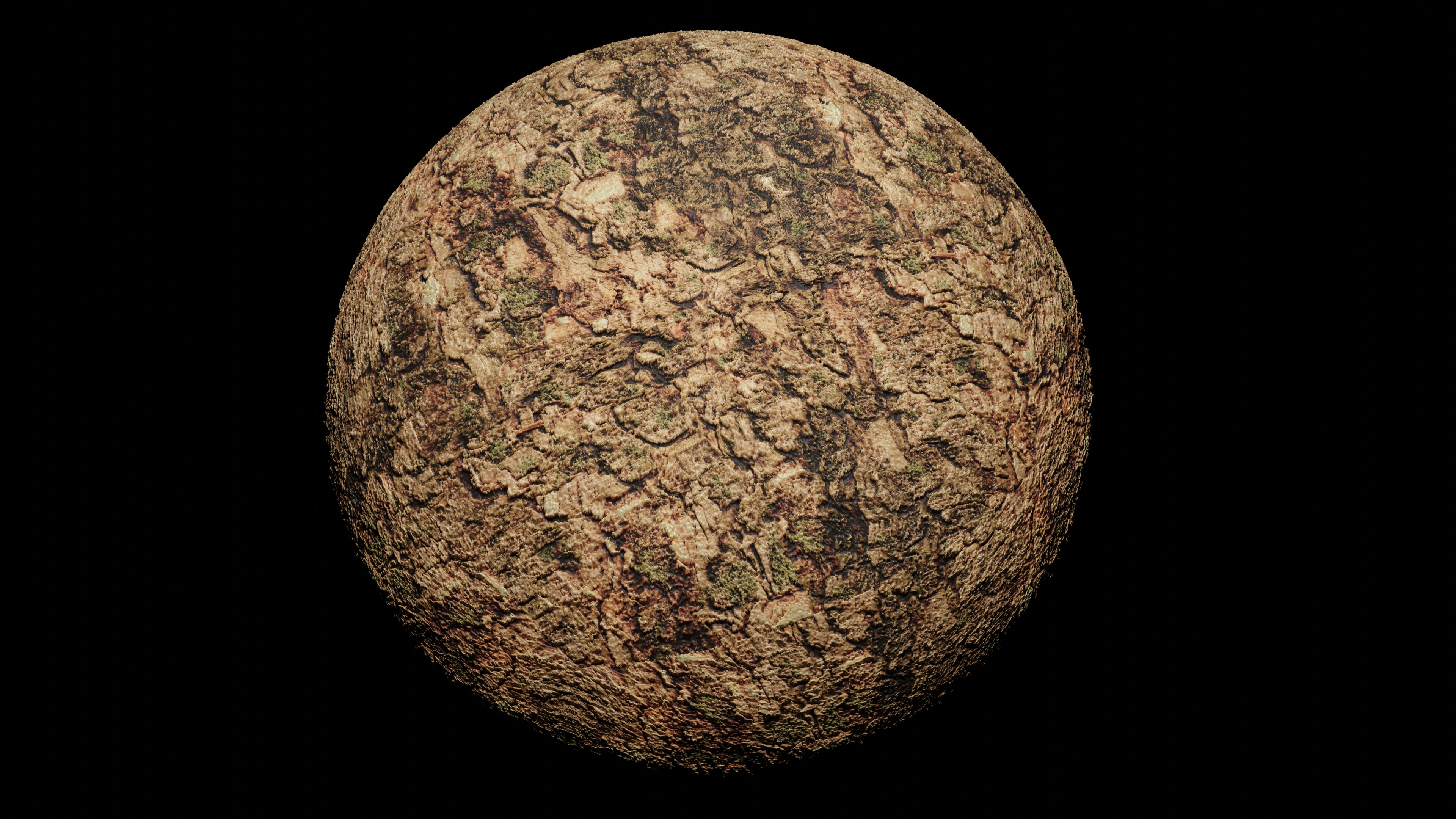 Tree Bark PBR Texture by CGHawk