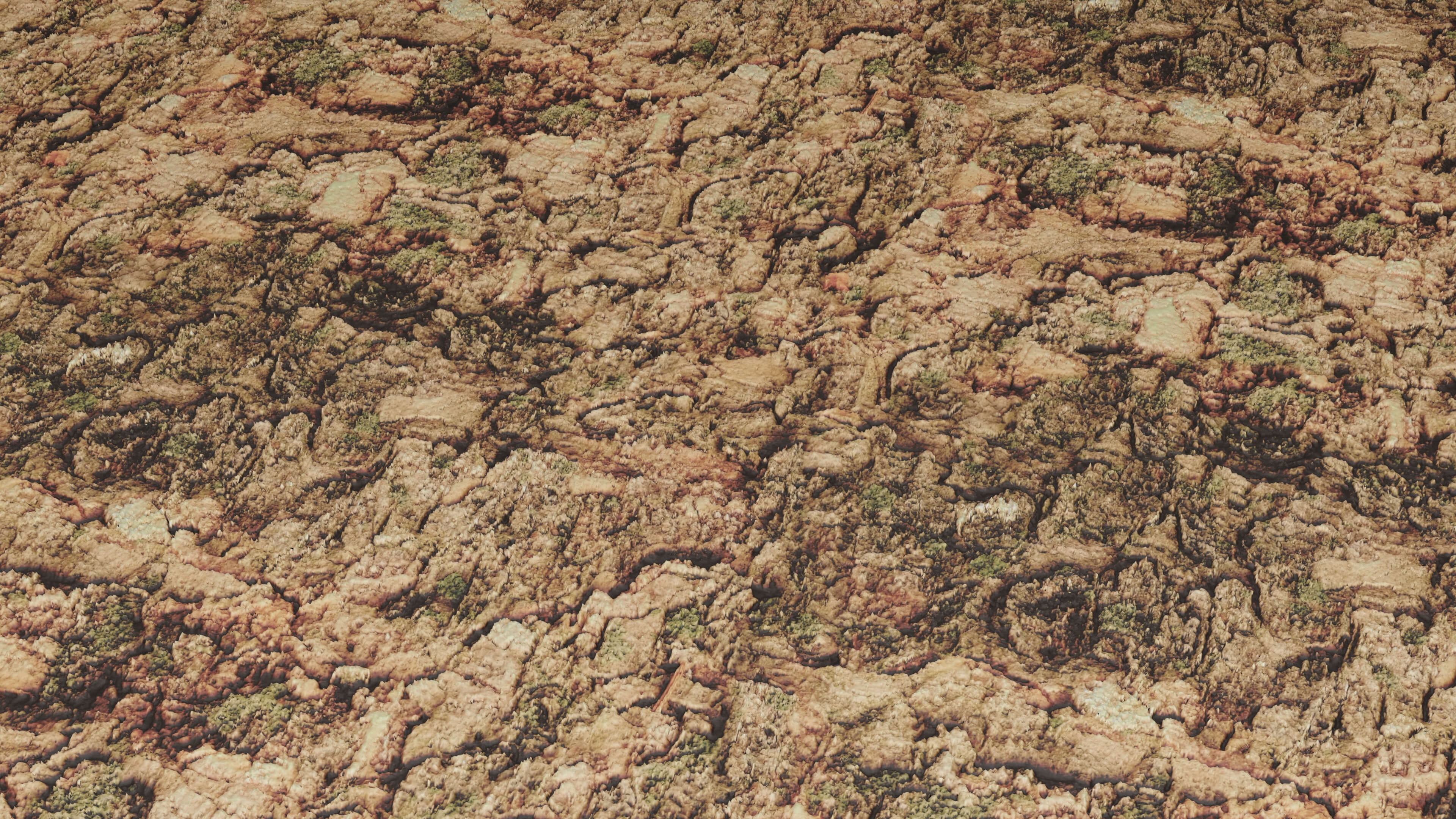 Tree Bark PBR Texture by CGHawk