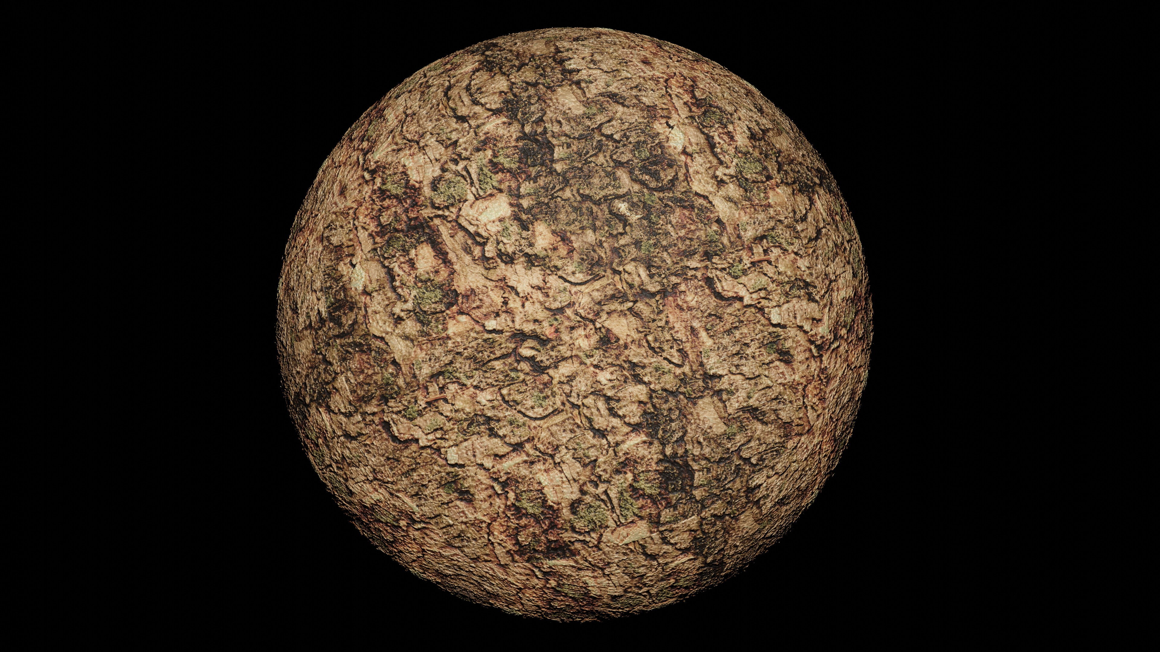 Tree Bark PBR Texture by CGHawk