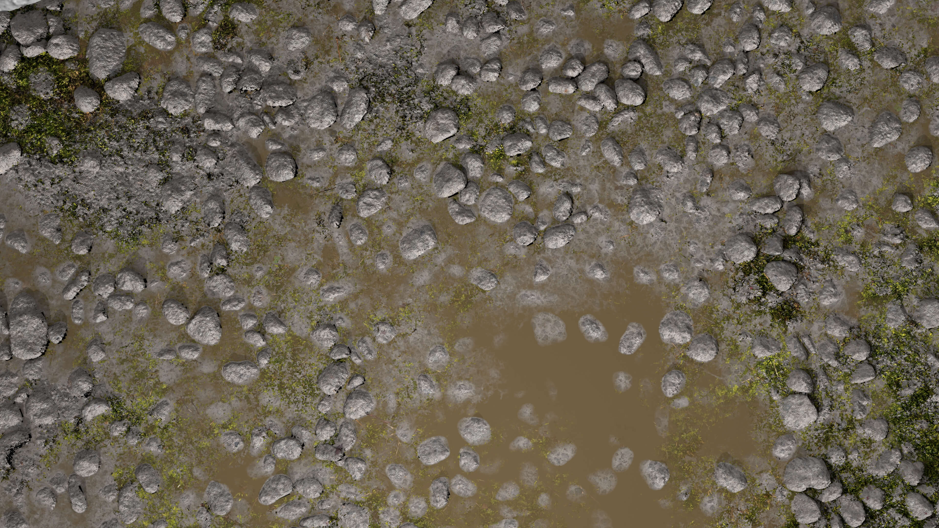 Wet Path PBR Texture - 3D Material or Shader by CGHawk