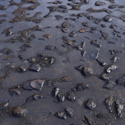 Wet Road 8K PBR Texture - 3D Material or Shader by CGHawk