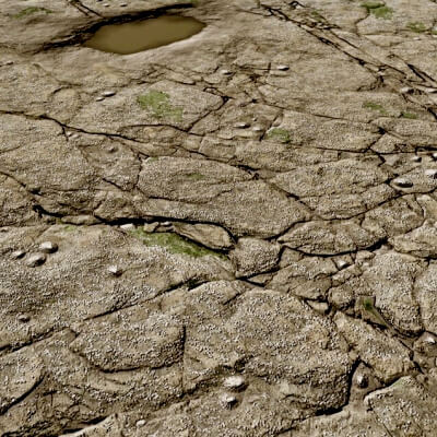 Wet Rock PBR Texture - 3D Material or Shader by CGHawk