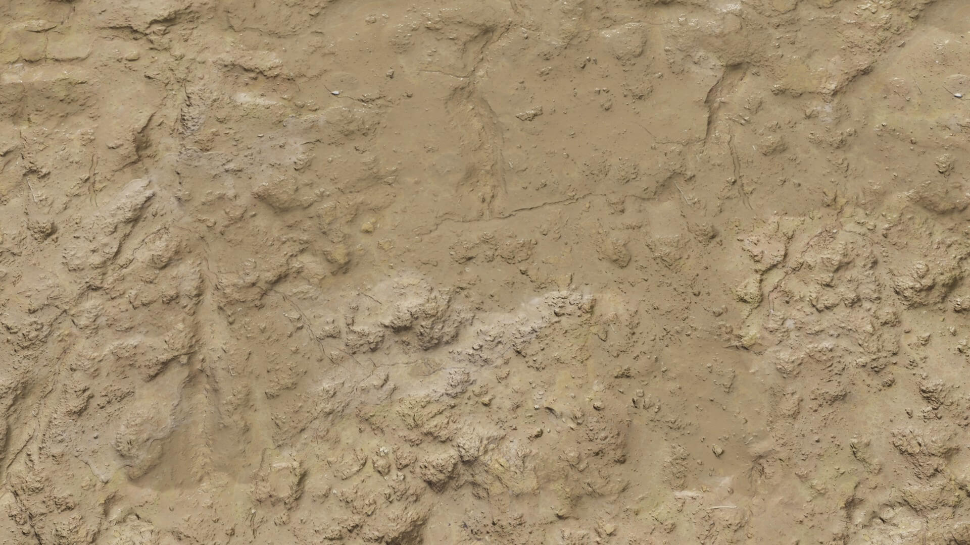 Wet Sand PBR Texture by CGHawk