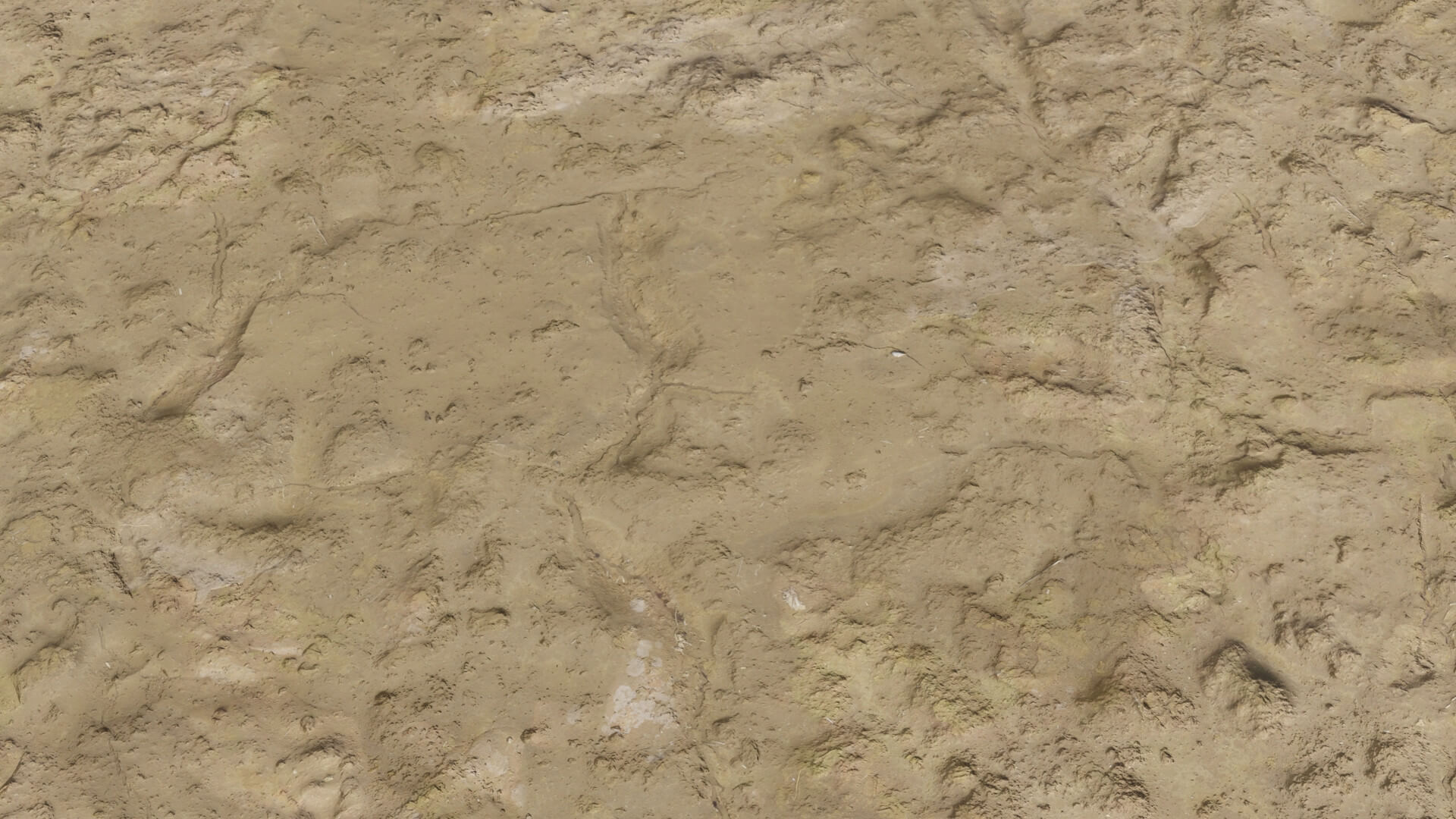 Sand Texture Seamless