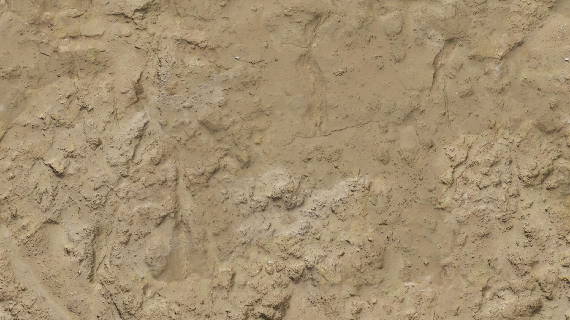 Wet Sand PBR Texture by CGHawk