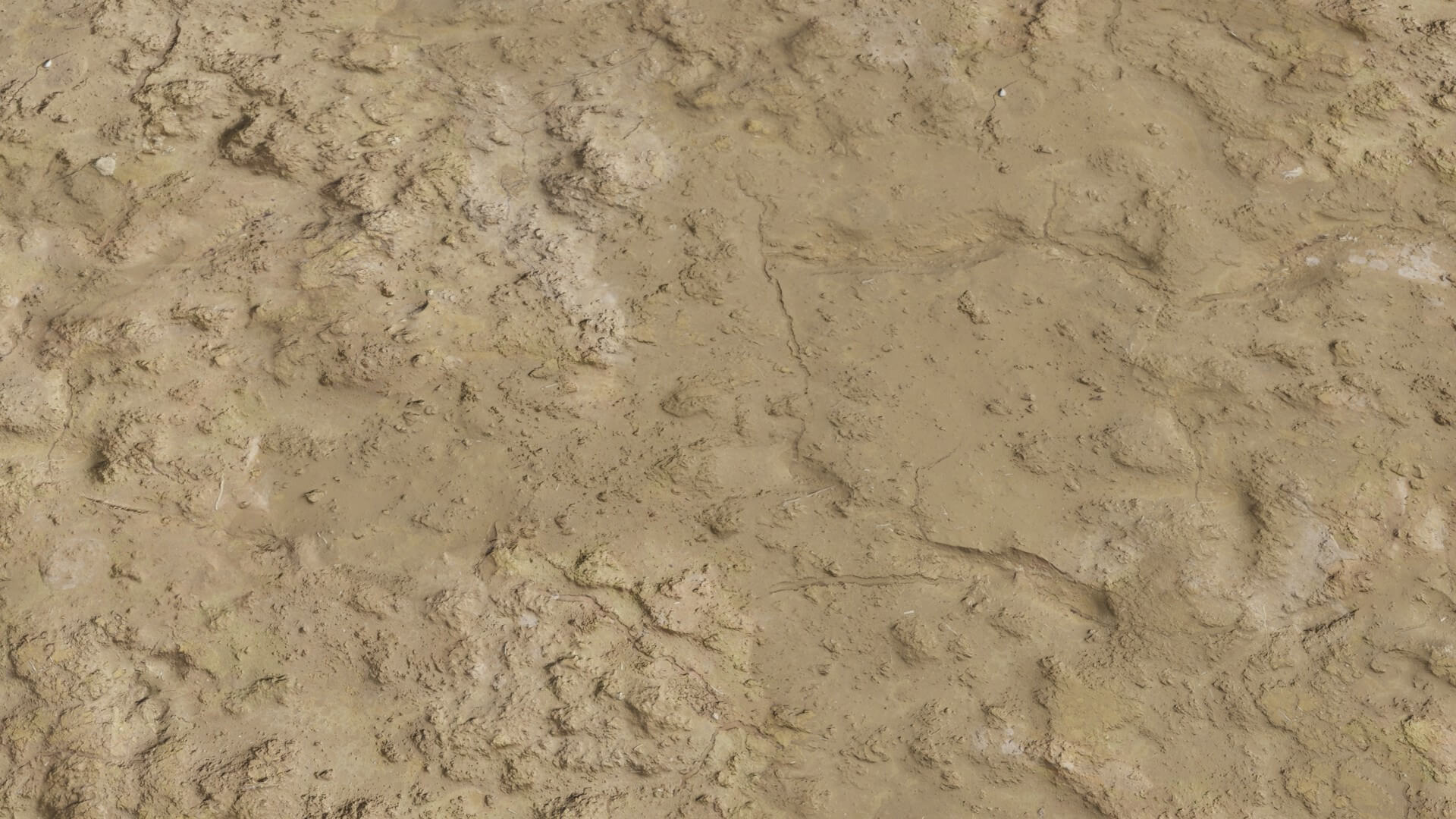 Wet Sand PBR Texture by CGHawk