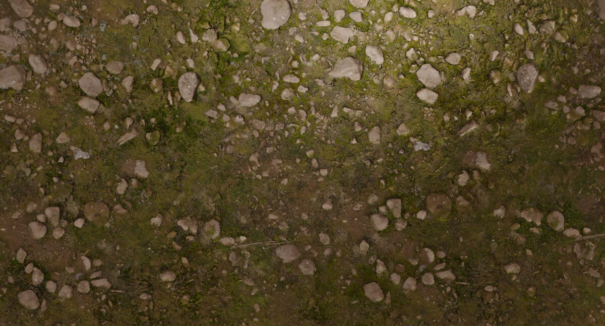 Woodland Terrain PBR Texture by CGHawk