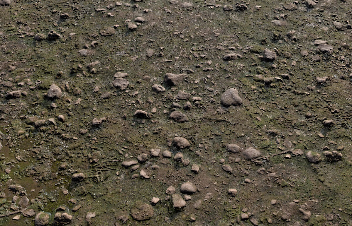 Woodland Terrain PBR Texture by CGHawk