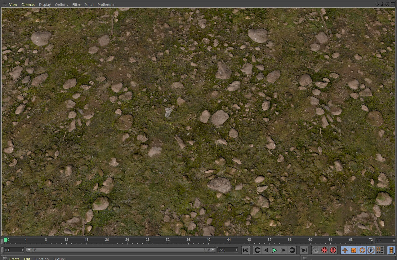 Woodland Terrain PBR Texture by CGHawk