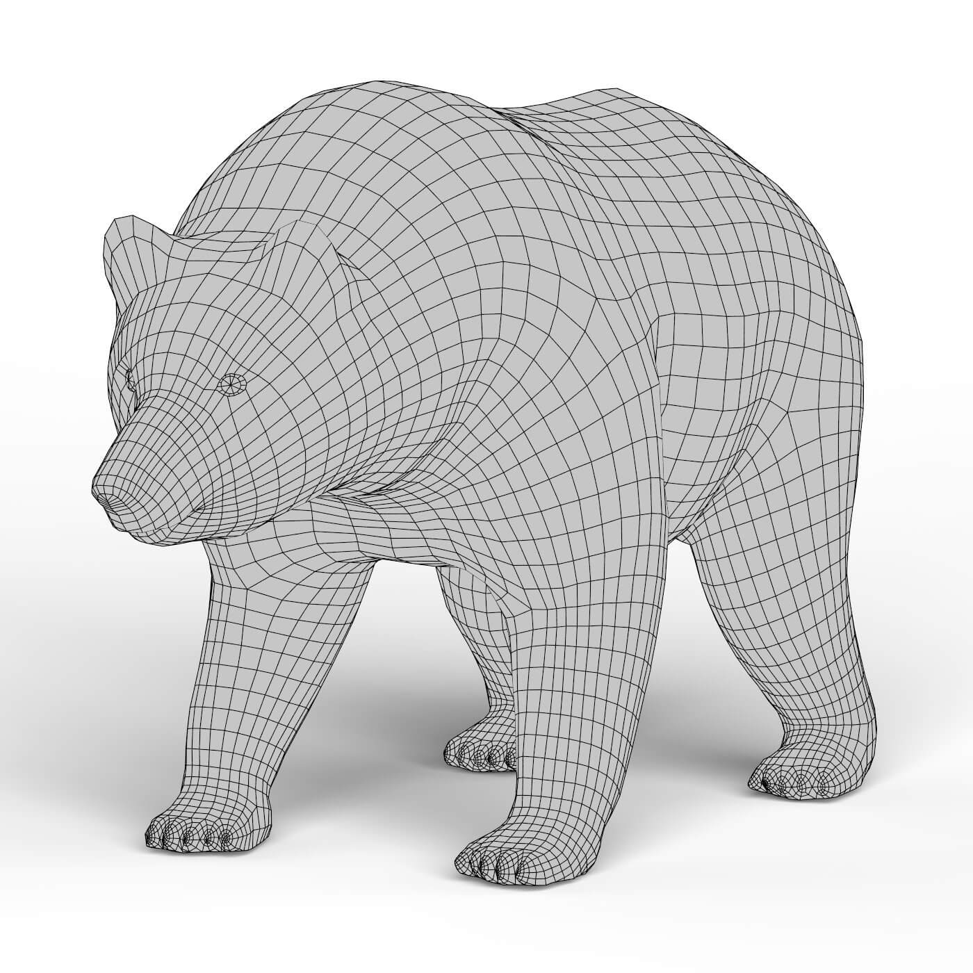 Bear Base Mesh - 3D Model by CGHub
