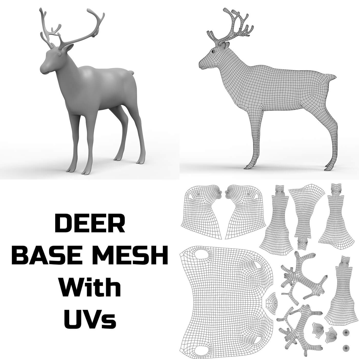 Deer Base Mesh - 3D Model by CGHub