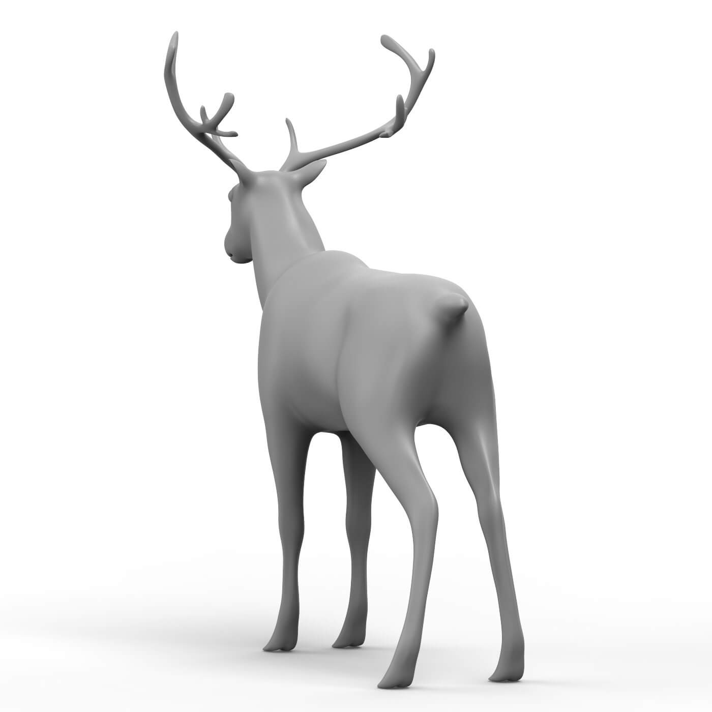 Deer Base Mesh - 3D Model by CGHub