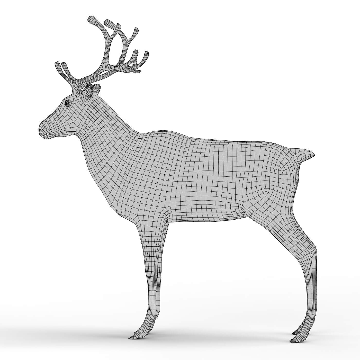 Deer Base Mesh - 3D Model by CGHub