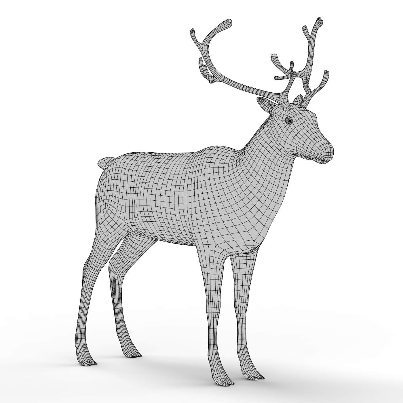 Deer Base Mesh - 3D Model by CGHub