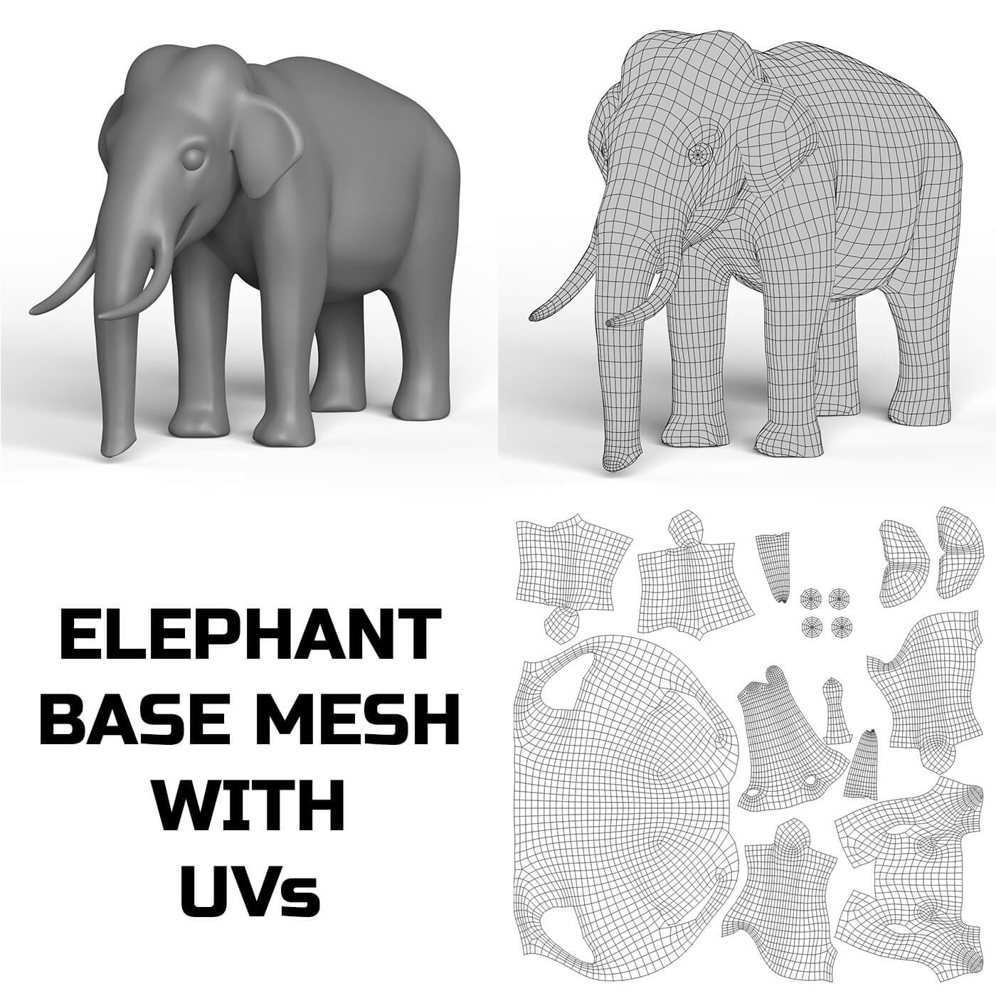 Elephant Base Mesh - 3D Model by CGHub