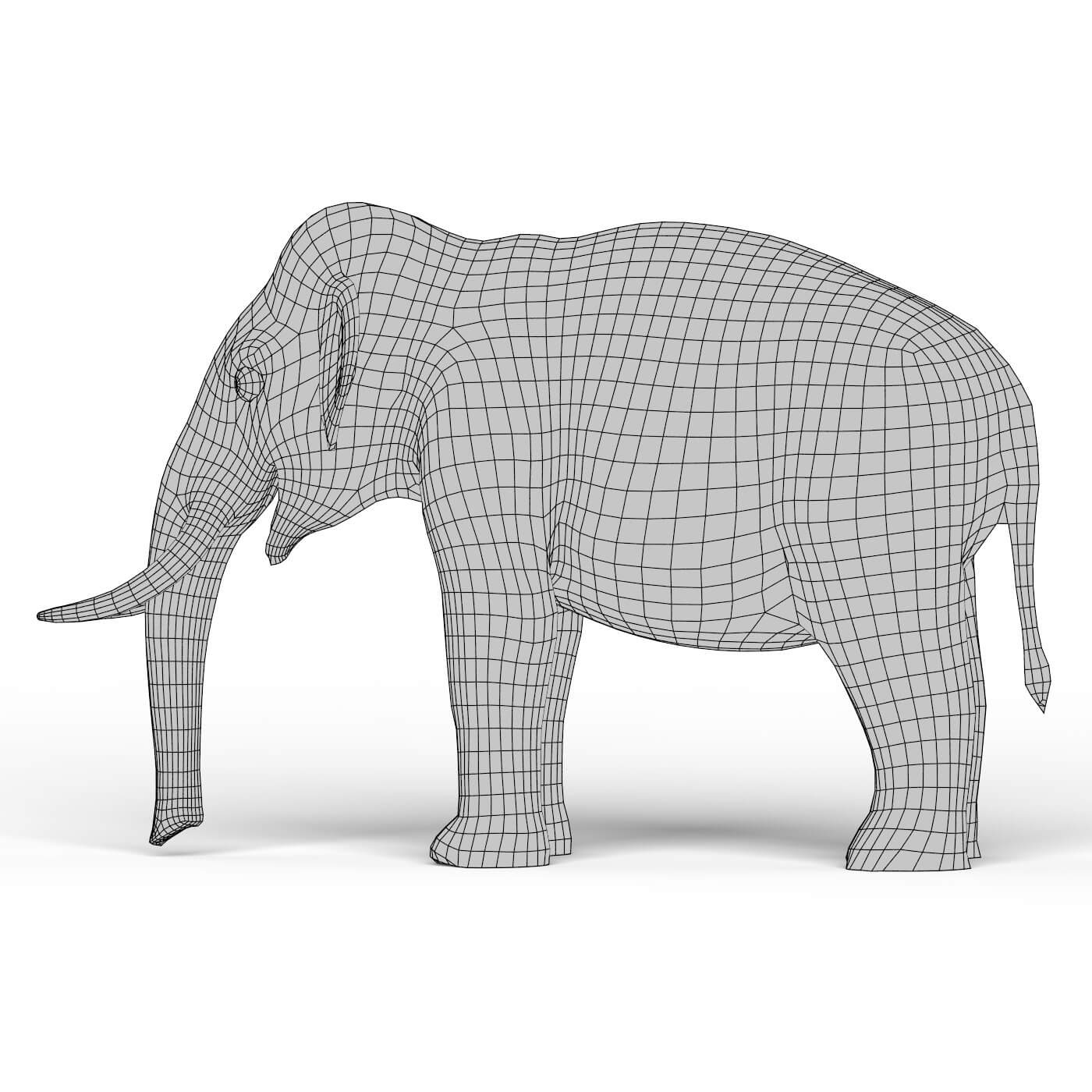 Elephant Base Mesh - 3D Model by CGHub