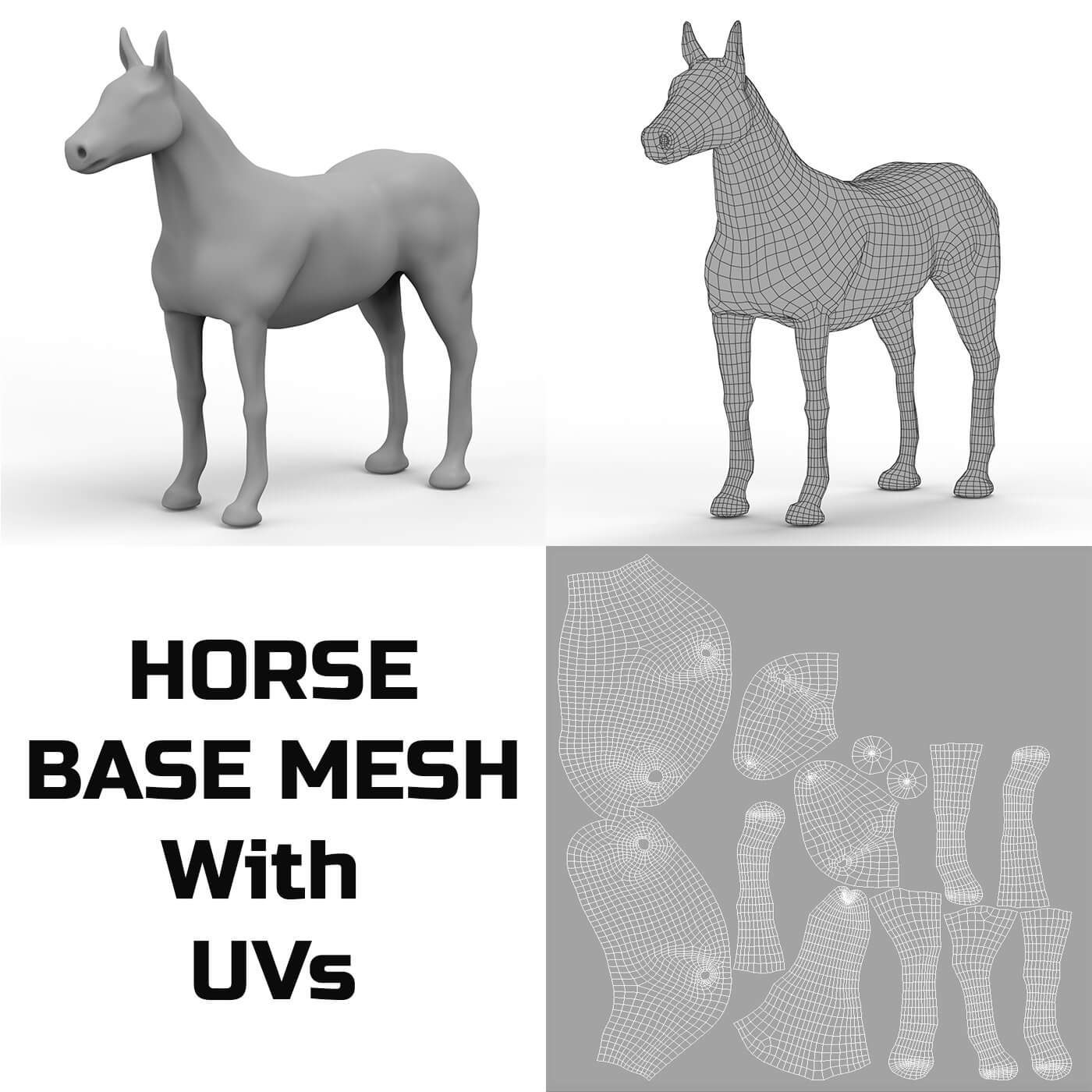 Horse Base Mesh - 3D Model by CGHub