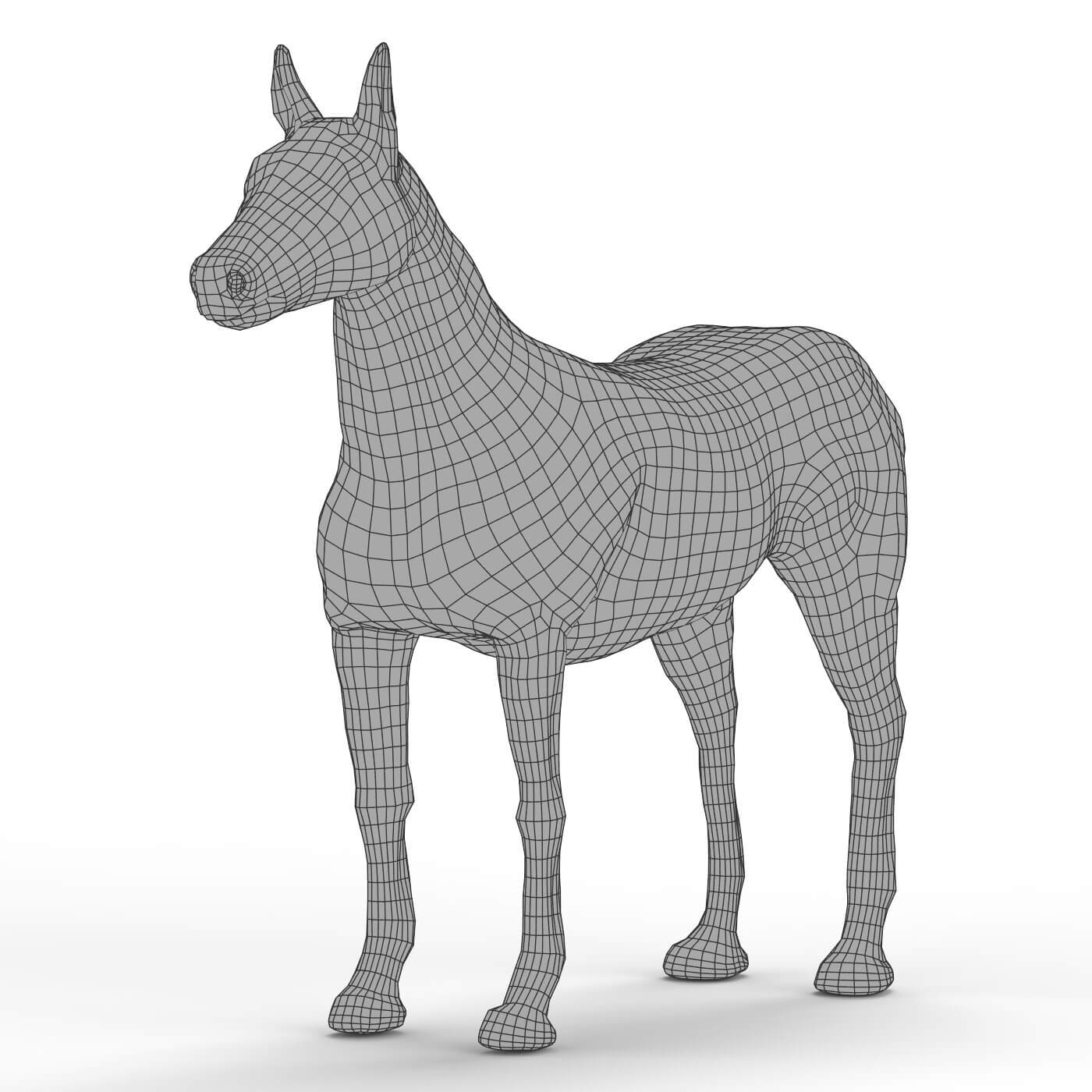 Horse Base Mesh - 3D Model by CGHub