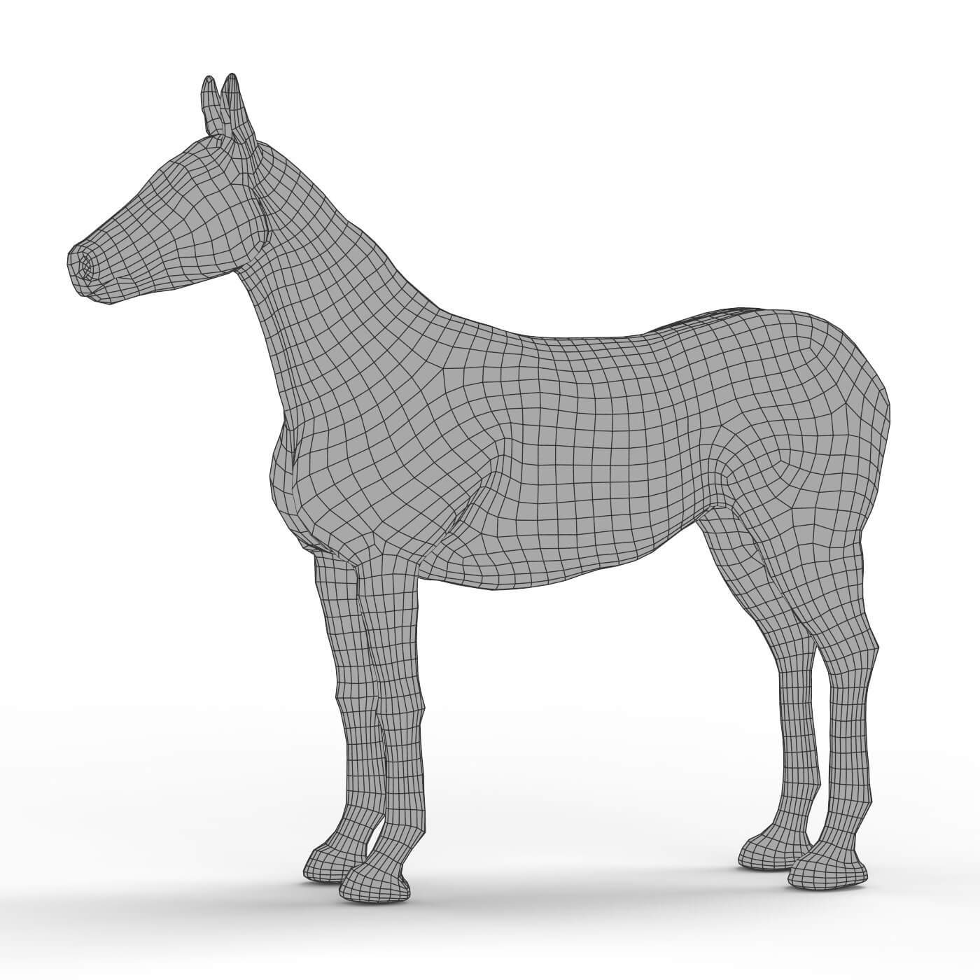 Horse Base Mesh - 3D Model by CGHub