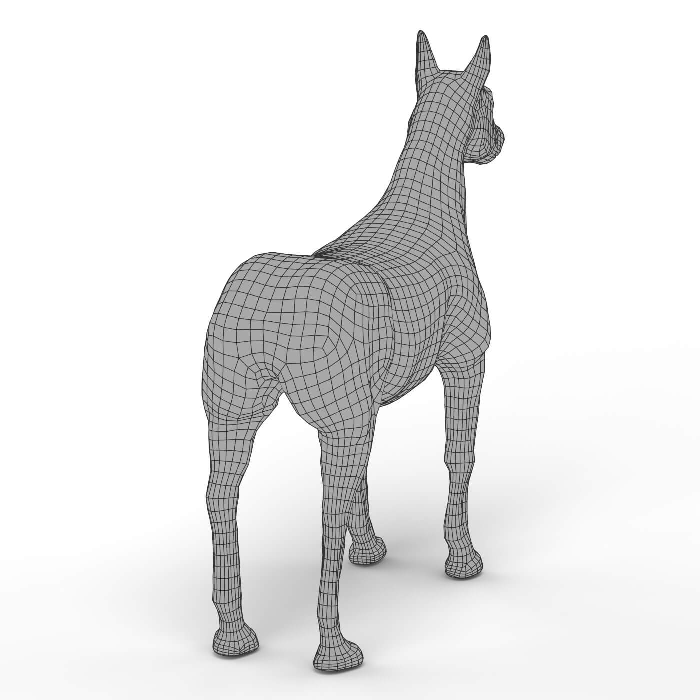 Horse Base Mesh - 3D Model by CGHub