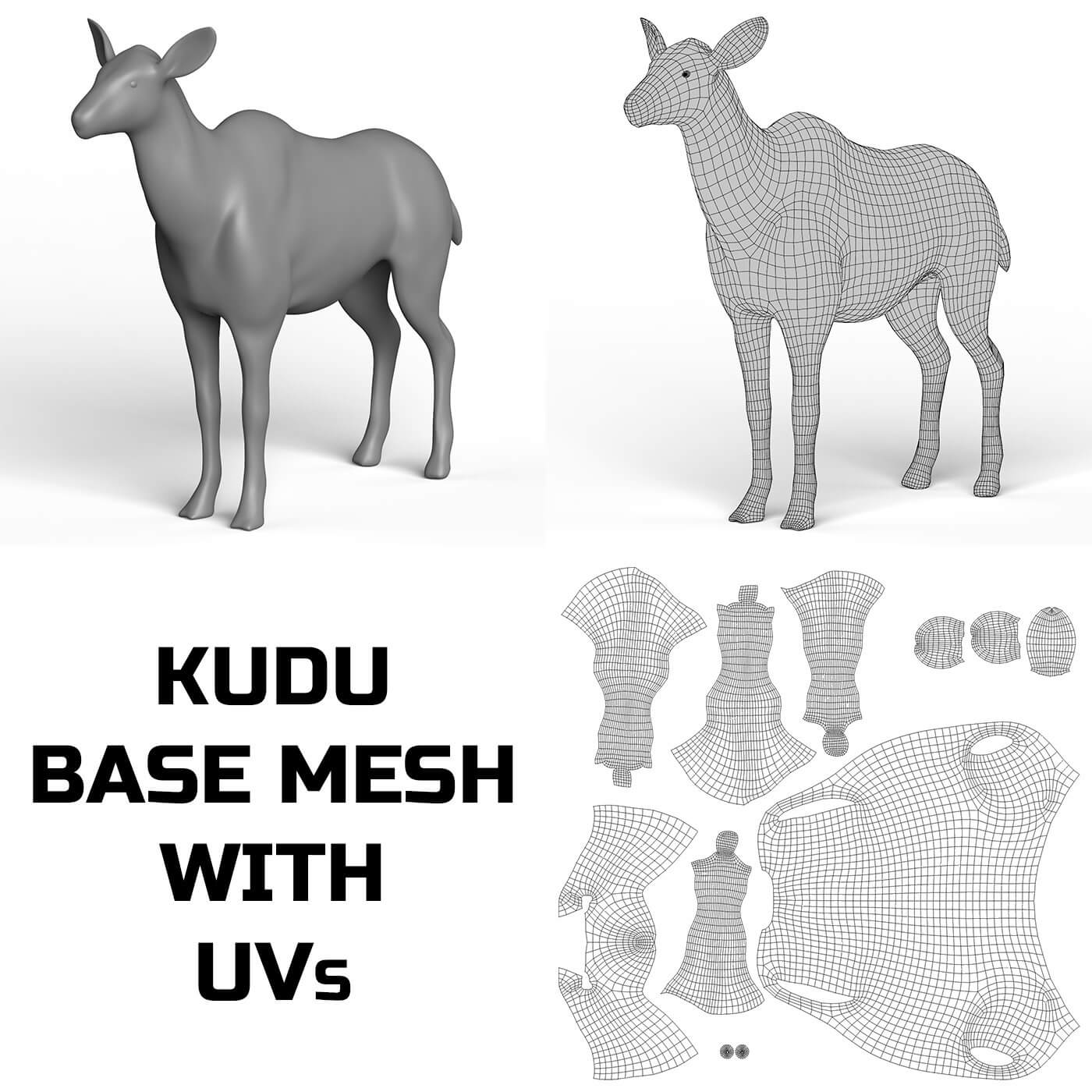 Kudu Base Mesh - 3D Model by CGHub