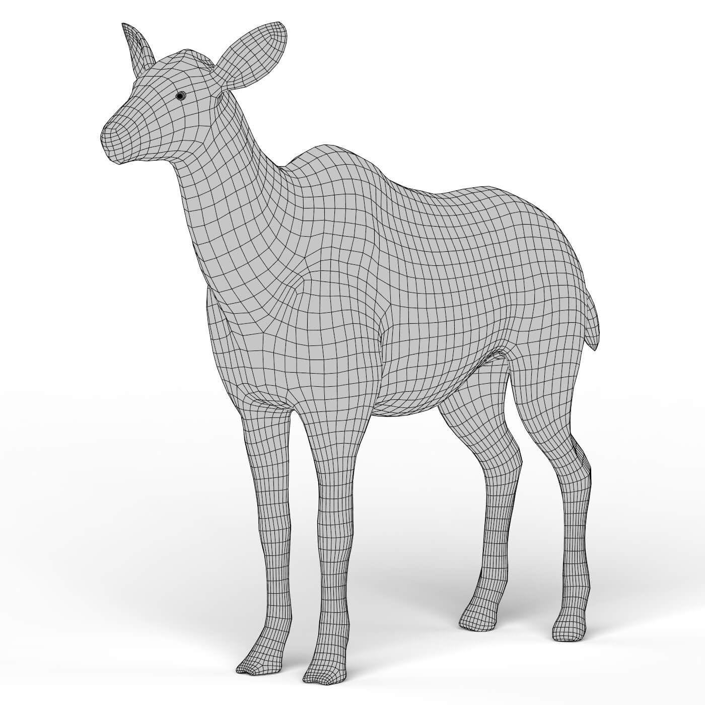 Kudu Base Mesh - 3D Model by CGHub