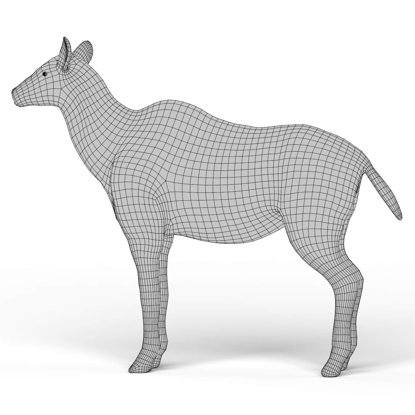 Kudu Base Mesh - 3D Model by CGHub