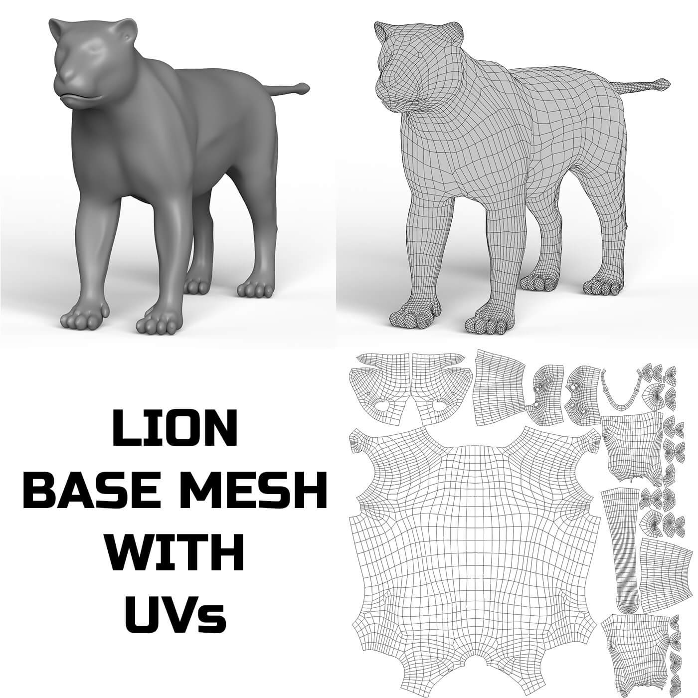 Lion Base Mesh - 3D Model by CGHub