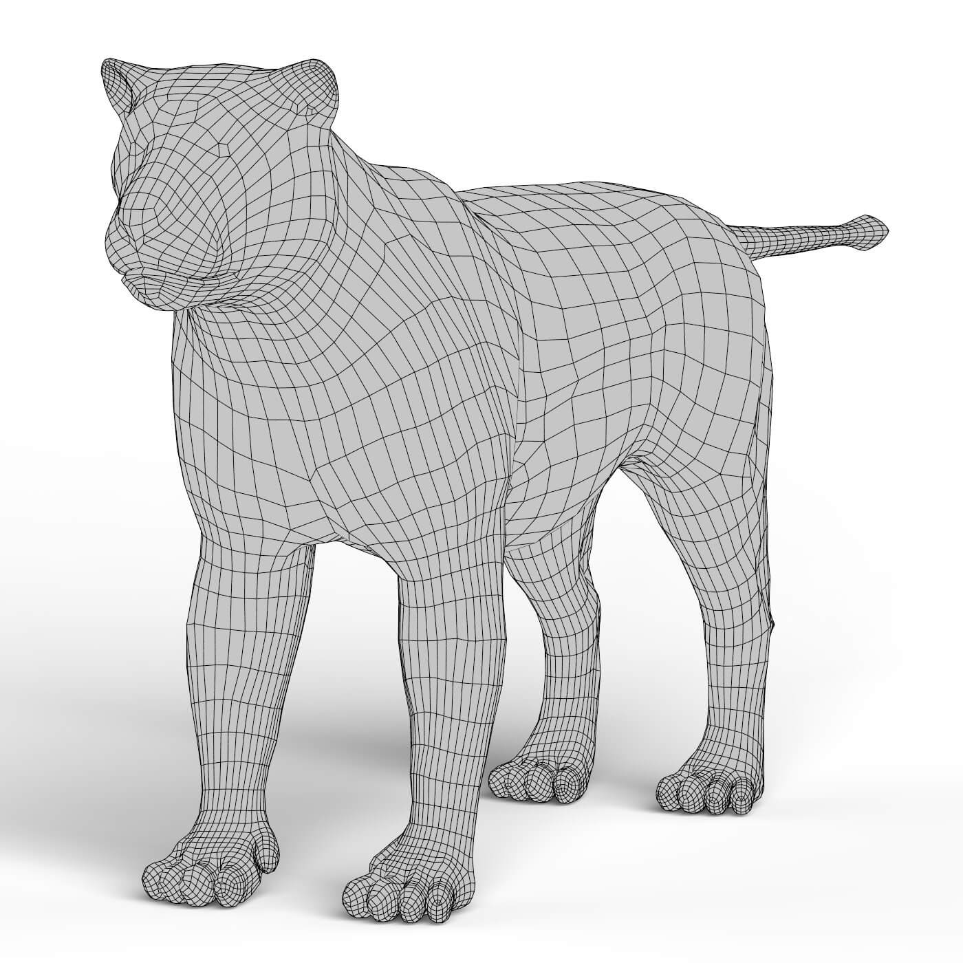 Lion Base Mesh - 3D Model by CGHub